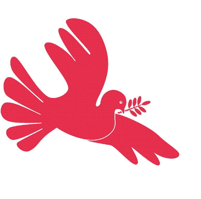 red dove small – Kelvin Grove School