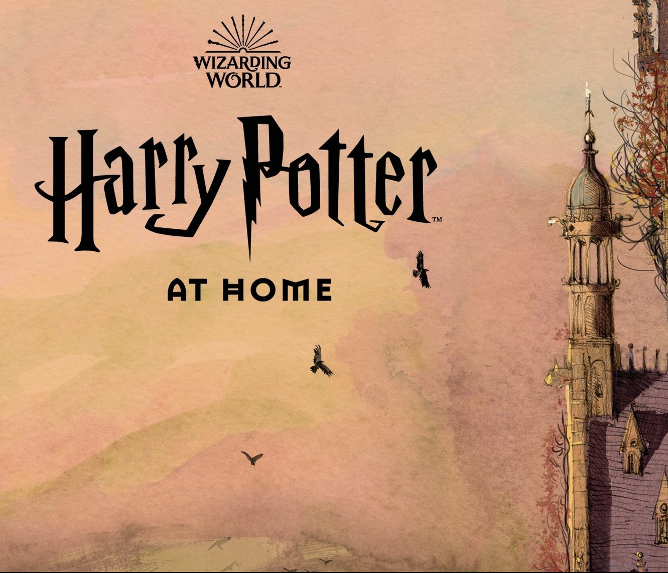 Harry Potter @ home – Kelvin Grove School
