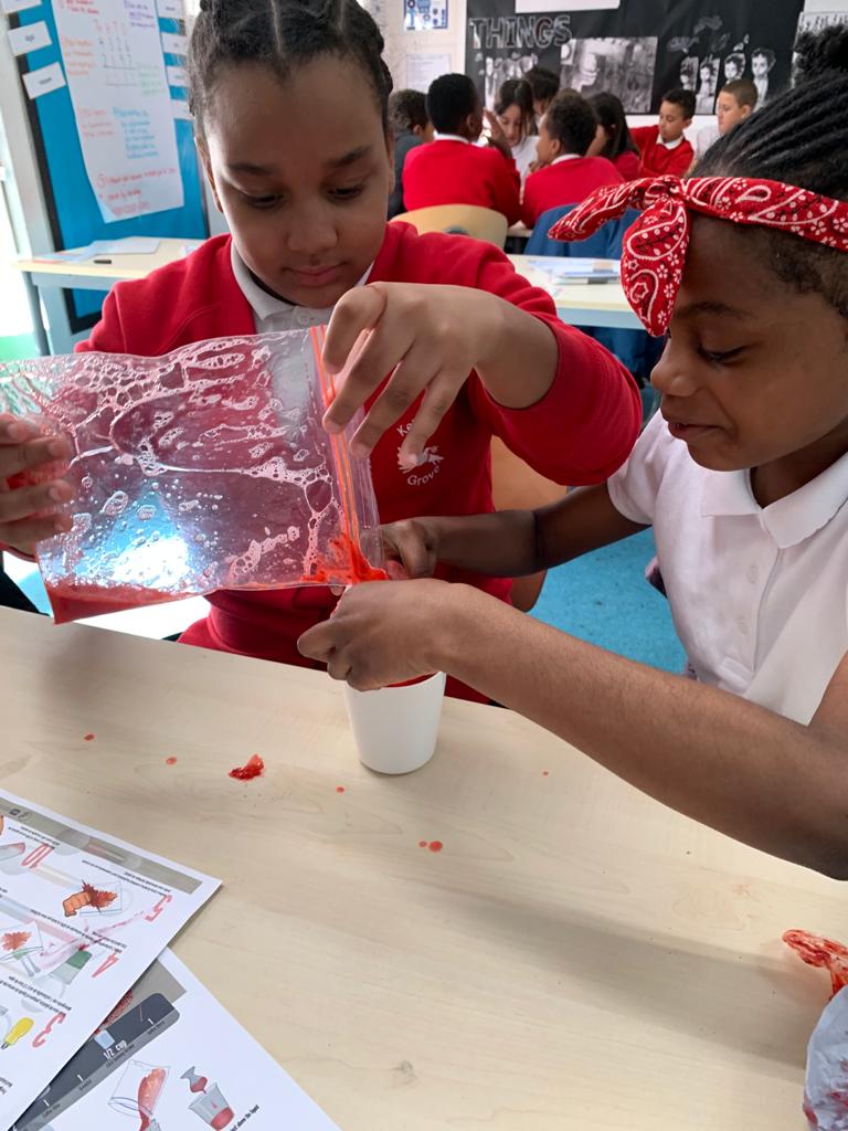 DNA extraction – Kelvin Grove School